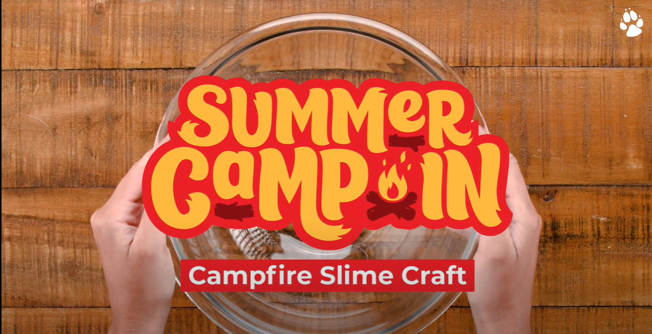 DIY Slime Craft - Great Wolf Lodge Family Fun